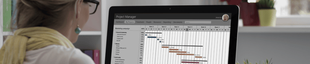 What is a Senior Project Manager? | Built In