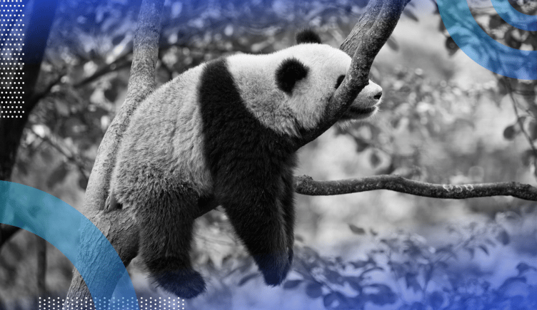 How To Speed Up Your Pandas Code By 10x Built In